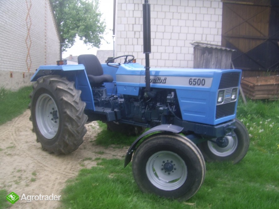 Landini 6500 - 1984 Lubelskie • Agrotrader.pl