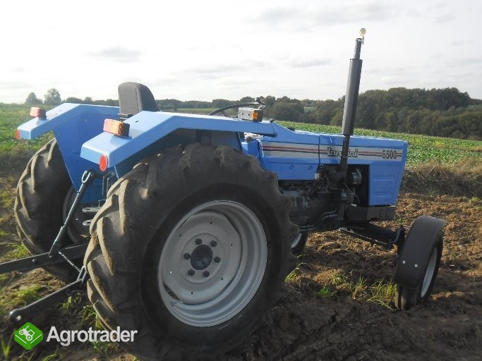 Landini 6500 - 1984 Turobin • Agrotrader.pl